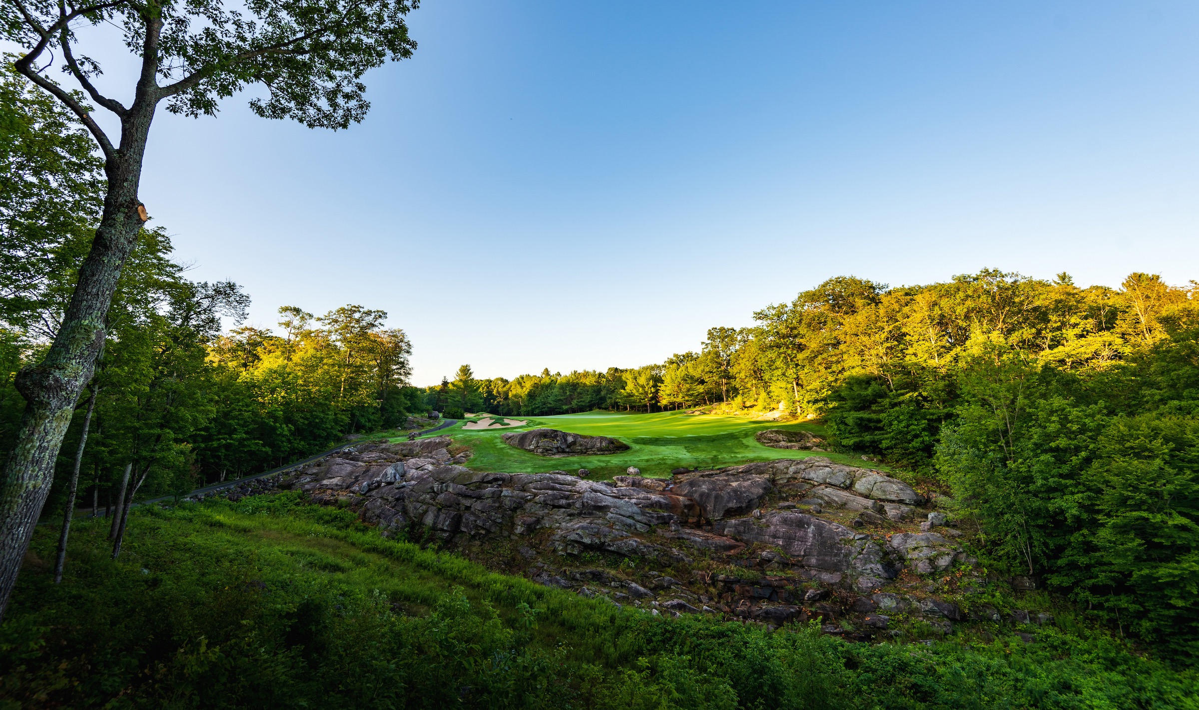 Welcome | Thomas McBroom Associates